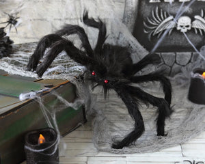 Tarántula con Pelo 50 cm | Comprar Online